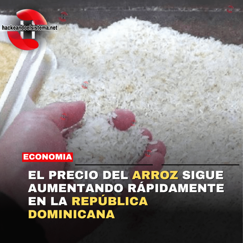 El precio del Arroz sigue aumentando en la República Dominicana